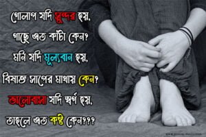 53 Read Emotional Quotes in Bengali with a lot of Images - Bengalimasti